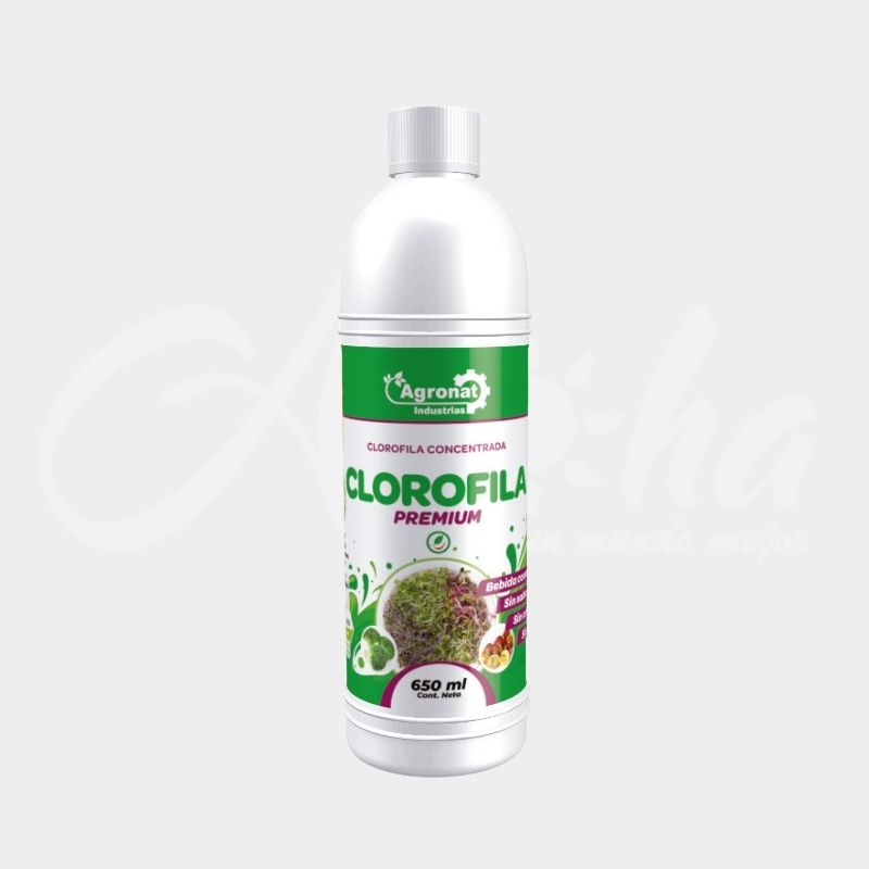 Los beneficios de la clorofila líquida - Aloha Natura